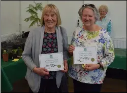 Grower praises her homemade compost for treble trophy haul - PressReader