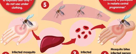 What’s bugging you? - PressReader