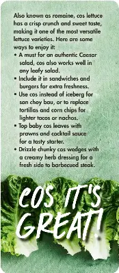 COS IT’S GREAT! - PressReader