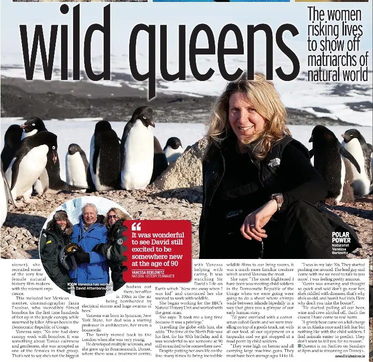 Wild queens - PressReader