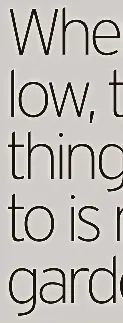 When I feel low, the first thing I turn to is my garden - PressReader