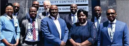 ECB hosts African electricit­y regulator peer review - PressReader