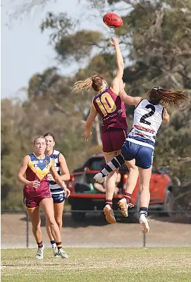 Dynamic Dusties dominate - PressReader