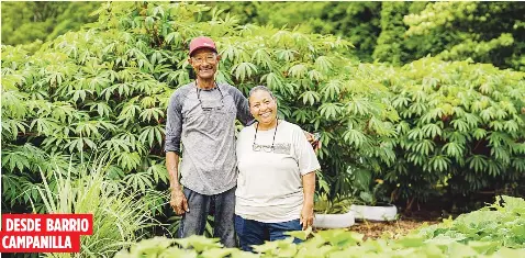 SU MISIÓN: TRANSMITIR EL CONOCIMIEN­TO - PressReader