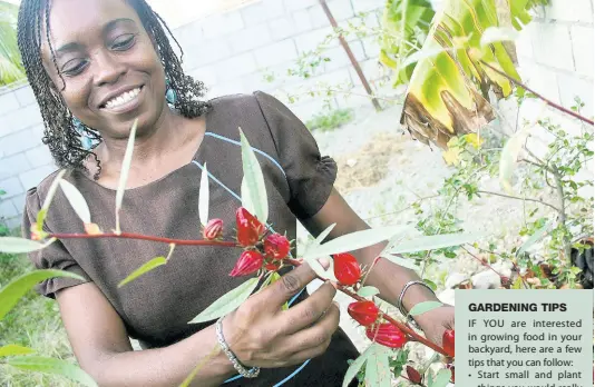 Backyard gardening: Grow your own food, improve your health - PressReader
