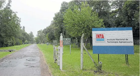 Plan para el INTA con venta de inmuebles y ajuste de personal - PressReader