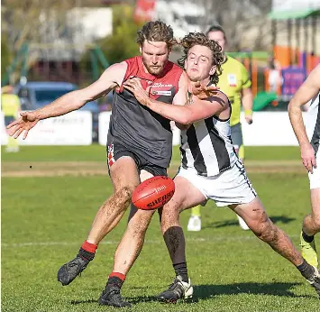 Gulls swooped by magnificen­t Magpies - PressReader