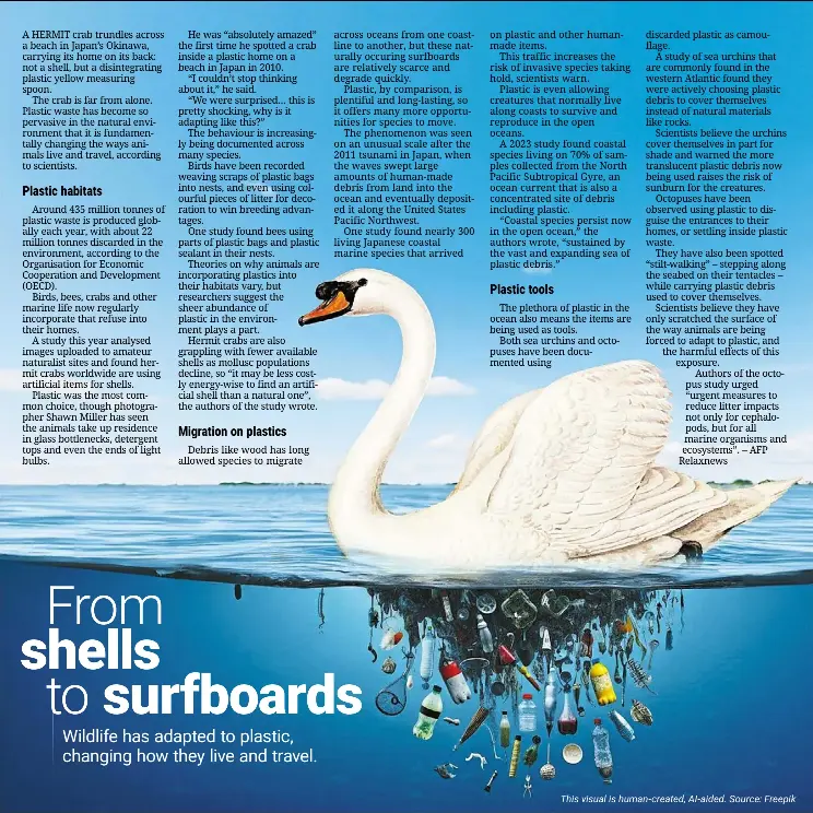 From shells to surfboards - PressReader