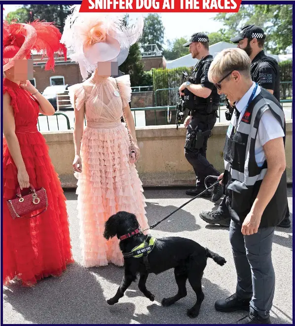 Welcome to ROYAL ASKET | The Mail on Sunday | PressReade­r
