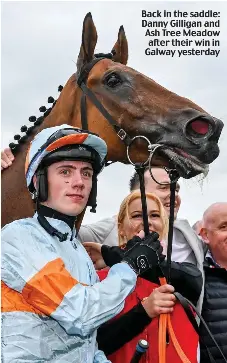 Meadow leads field in Galway - PressReader