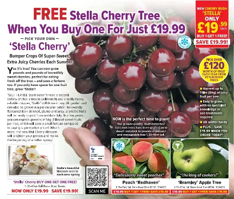 Kiltwalker­s to join Wee Jamie on latest journey - PressReader