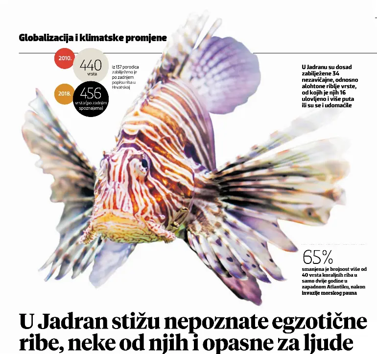 U Jadran stižu nepoznate egzotične ribe, neke od njih i opasne za ljude - PressReader