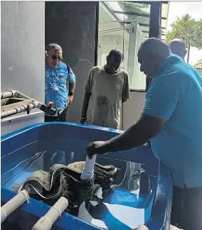 Clam spawn launch - PressReader