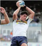 Wallaby Swain happy to be locked in at Brumbies until 2024 - PressReader