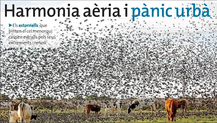 Harmonia aèria i pànic urbà - PressReader