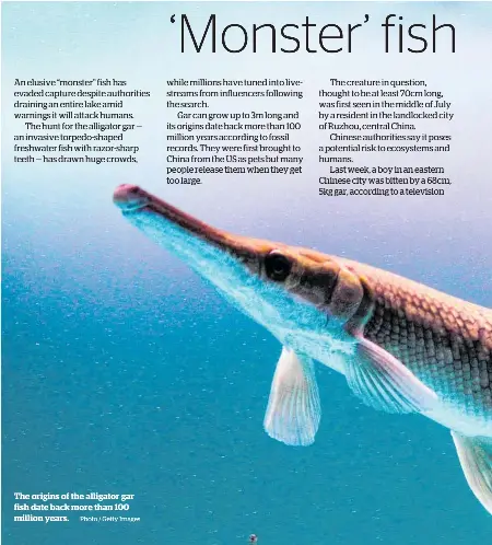 ‘Monster’ fish eludes capture - PressReader