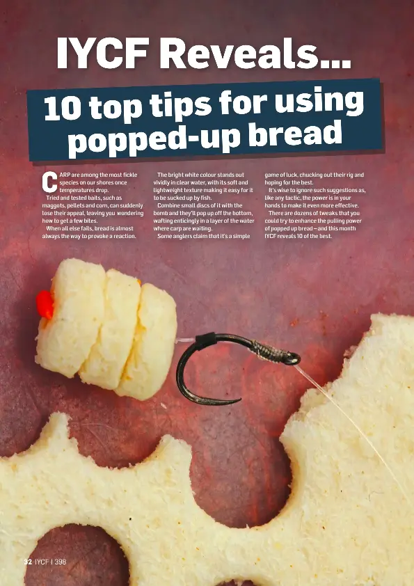IYCF Reveals… 10 top tips for using popped- up bread - PressReader