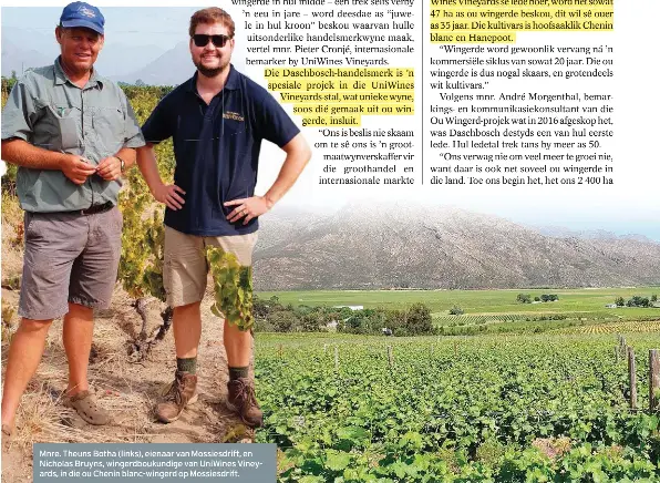 Nuwe lewe vir ou wingerde - PressReader