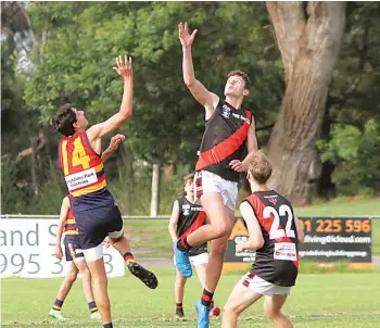 Crows kids come good - PressReader