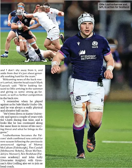 Young back rower Ollie to join up with Falcons - PressReader