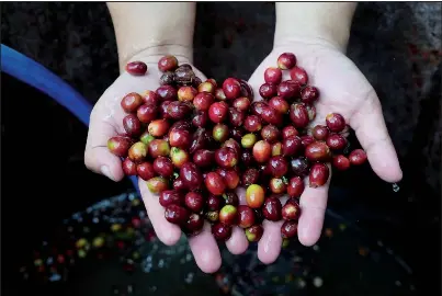 The global forces sending coffee prices skyward - PressReader