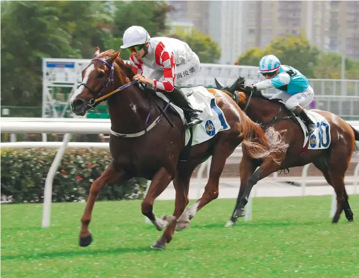 Meddling owners ‘no good for HK’ - PressReader
