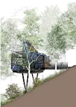 Leafy seclusion as holiday treehouse plans can proceed | Western ...