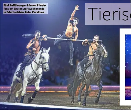 Tierische Superlativ­e - PressReader