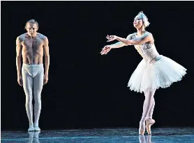 Acosta’s fledgling company takes wing - PressReader