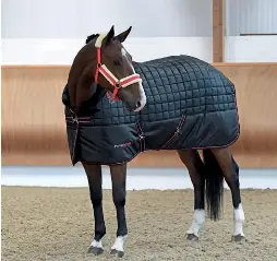 PROTECHMAS­TA INFRARED 200G MEDIUM WEIGHT STABLE RUG - PressReader