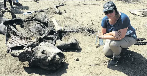 Oud-Laevelder-joernalis vertel van nuwe boek - PressReader