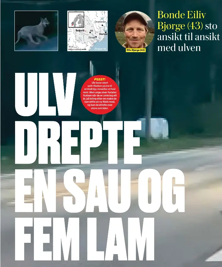 ULV PSSST! DREPTE EN SAU OG FEM LAM - PressReader