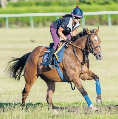 Sir Busker well prepared, in the hunt for NEOM Turf glory at Saudi Cup - PressReader