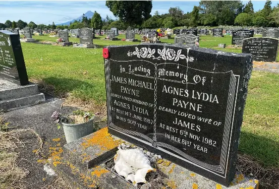 Veterans’ service highlighte­d - PressReader