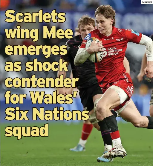Scarlets wing Mee emerges as shock contender for Wales’ Six Nations ...