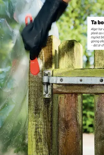 Ta bort alger på grinden - PressReader