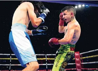 Boxing card at the Pit has a bit of everything - PressReader