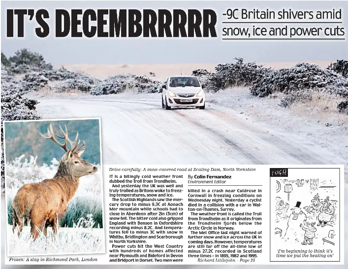 IT’S DECEMBRRRR­R - PressReader