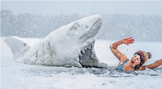 Stay at home or walk like a penguin to beat the cold - PressReader