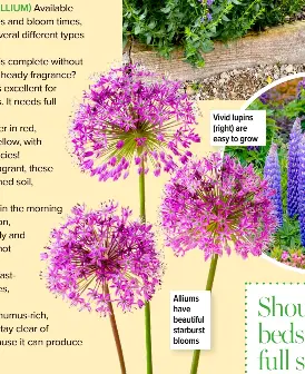 10 best flowers to plant - PressReader