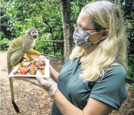 MONKEY JUNGLE’S MONEY TROUBLES - PressReader
