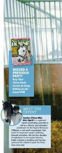 bottom Hitting rock - PressReader