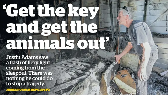 ‘Get the key and get the animals out’ - PressReader