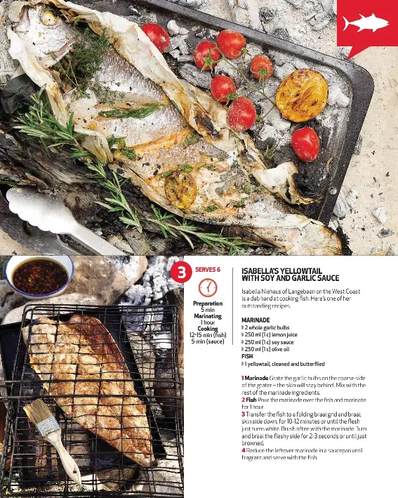 Yellowtail Fish Braai Recipe | Deporecipe.co