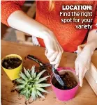 ASK DIARMUID - PressReader