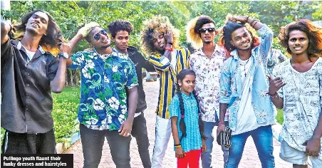 SCORNED FOR BEING SASSY, BUT PULLINGOS ARE NEVER SORRY - PressReader