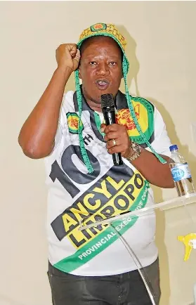 ANCYL presses premier Mathabatha to reshuffle Limpopo cabinet - PressReader