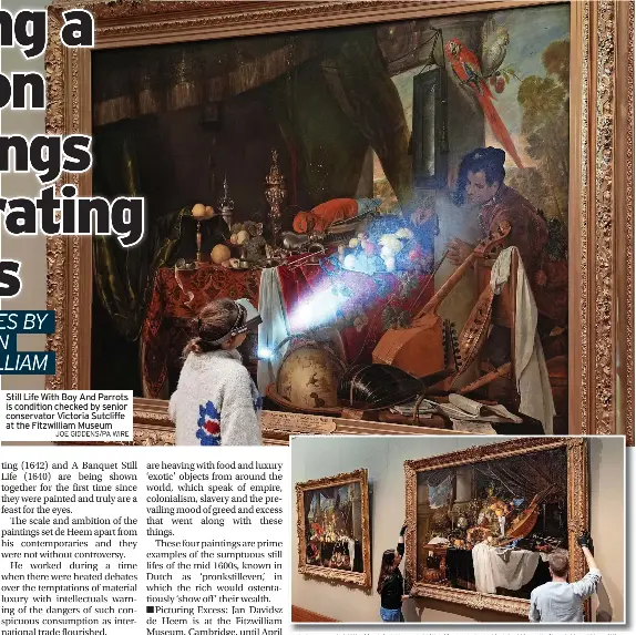 Shining a light on paintings celebratin­g excess - PressReader