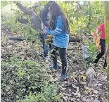 Pemuches, flor milenaria de la Huasteca Potosina - PressReader