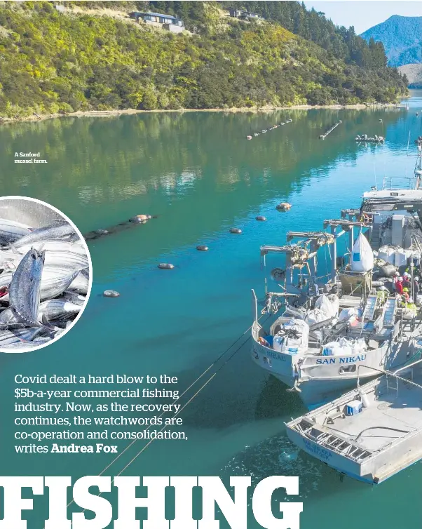 Andrea Fox FISHING BUDDIES - PressReader